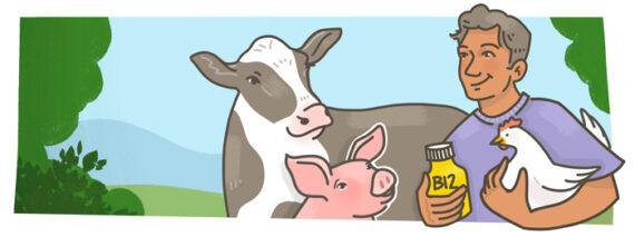 Vitamin B12 – Vegan Health